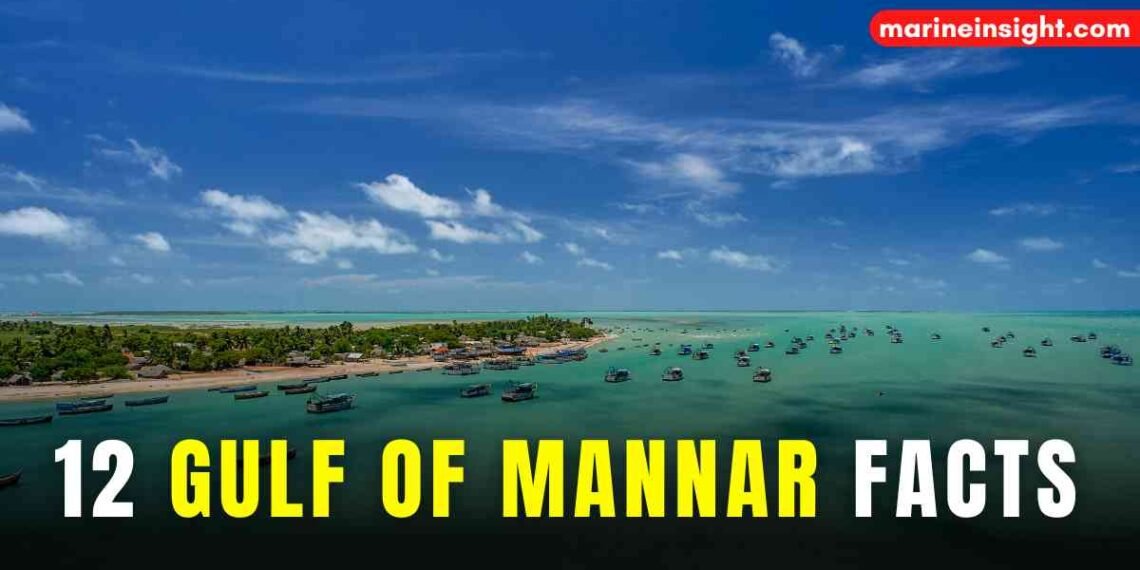 12 Gulf Of Mannar Facts You Might Not Know - Maritime and Salvage Wolrd ...